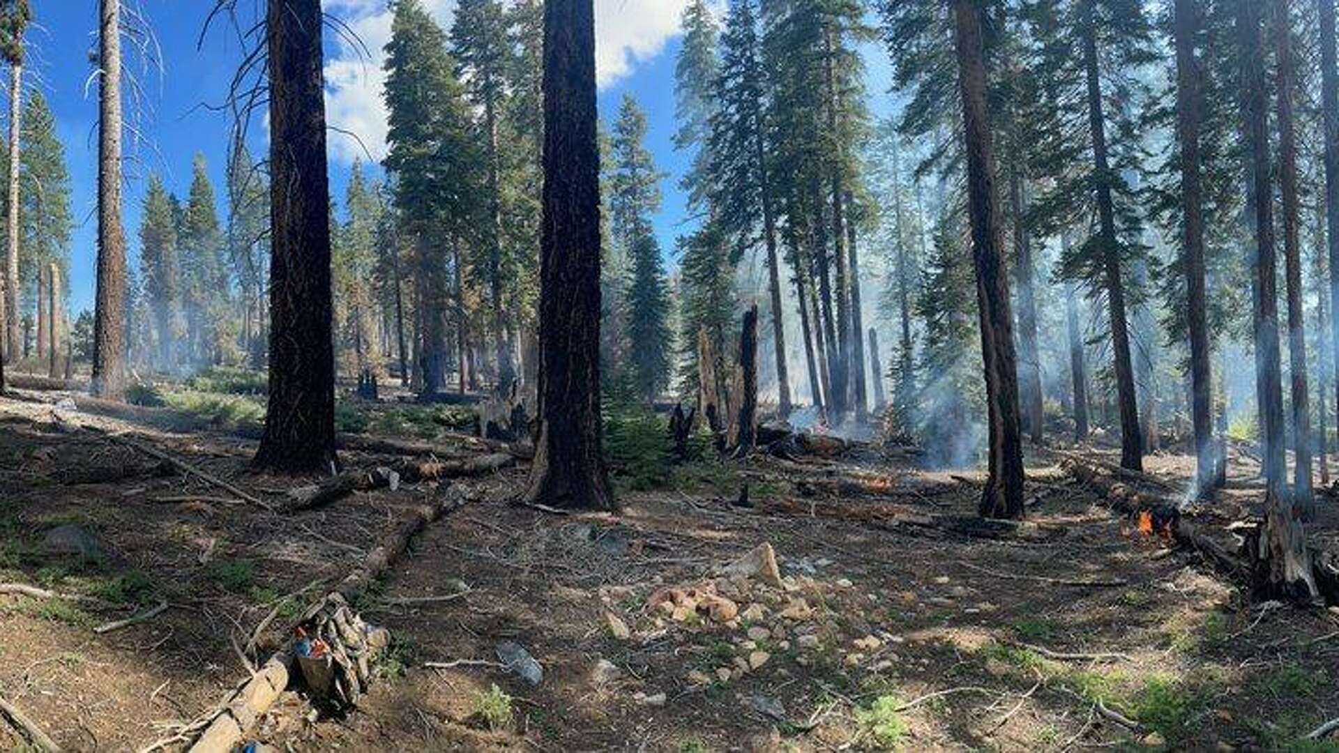 Red Fire burning in Yosemite National Park grows to nearly 400 acres
