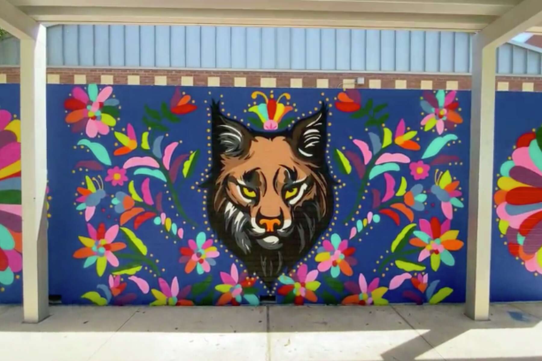 Mexican Pride Graffiti