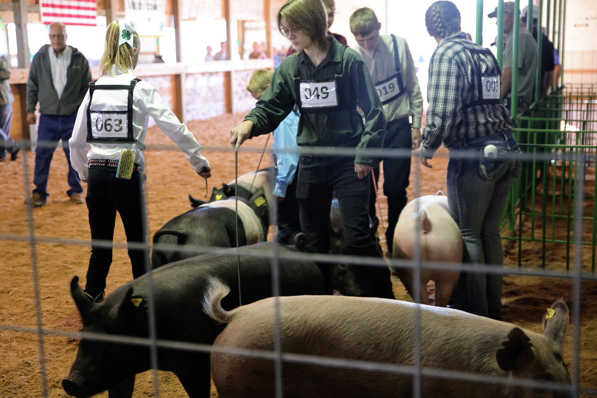 4-H youth to show livestock at annual Manistee County fair