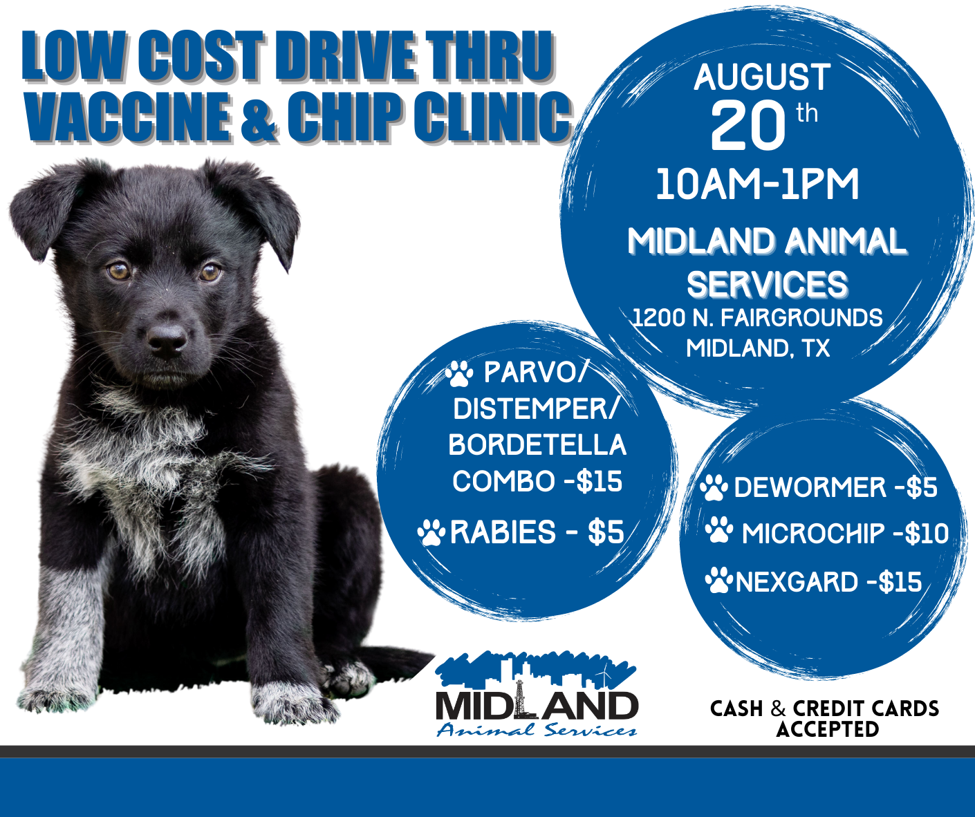 Midland Animal Shelter hosting low-cost drive-thru vaccine, chip clinic