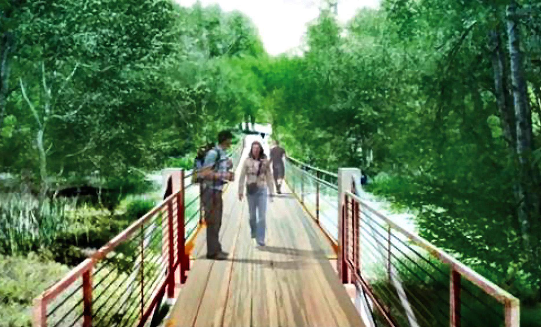 Infamous Muir Woods ‘tightrope bridge’ will finally be replaced at cost ...