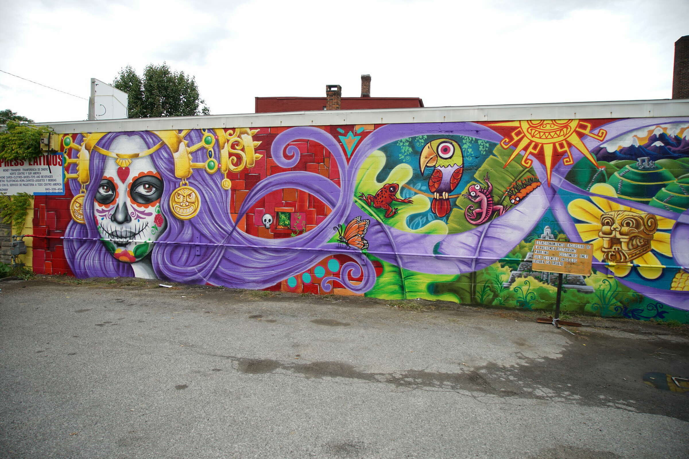 Graffiti icon Lady Pink paints the Hudson Valley