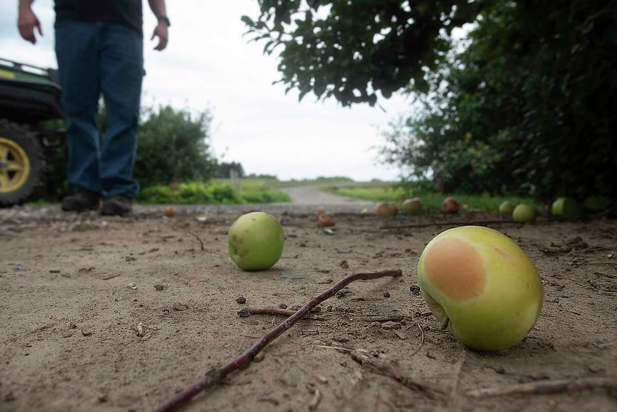 Drought stunts crops — and farmers' profits