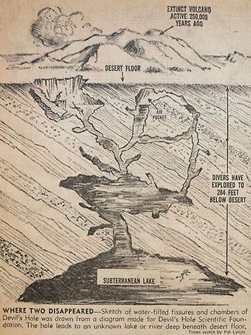 'It's like infinity': The skeletons at the bottom of Devils Hole