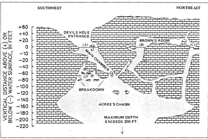 'It's like infinity': The skeletons at the bottom of Devils Hole