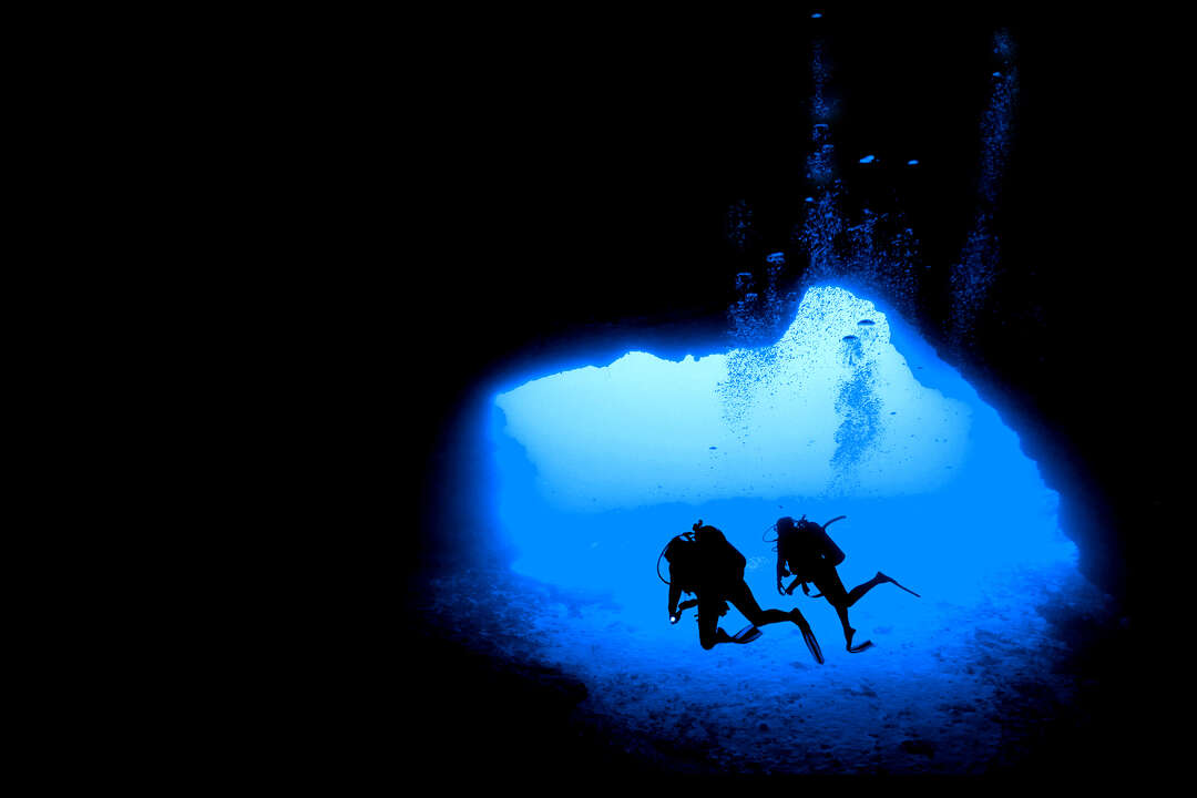 'It's like infinity': The skeletons at the bottom of Devils Hole