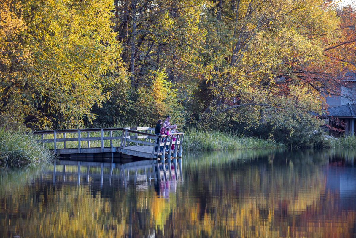 See fall leaves in Texas at these serene spots
