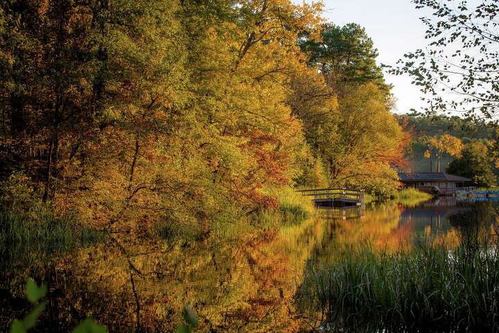 See fall leaves in Texas at these serene spots