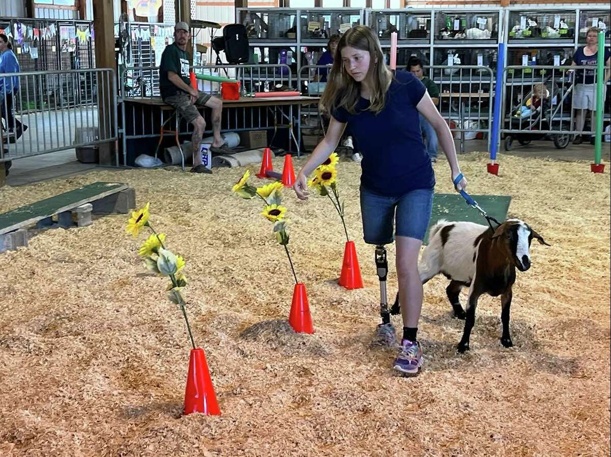 4-H youth compete at Midland County Fair's goat obstacle course