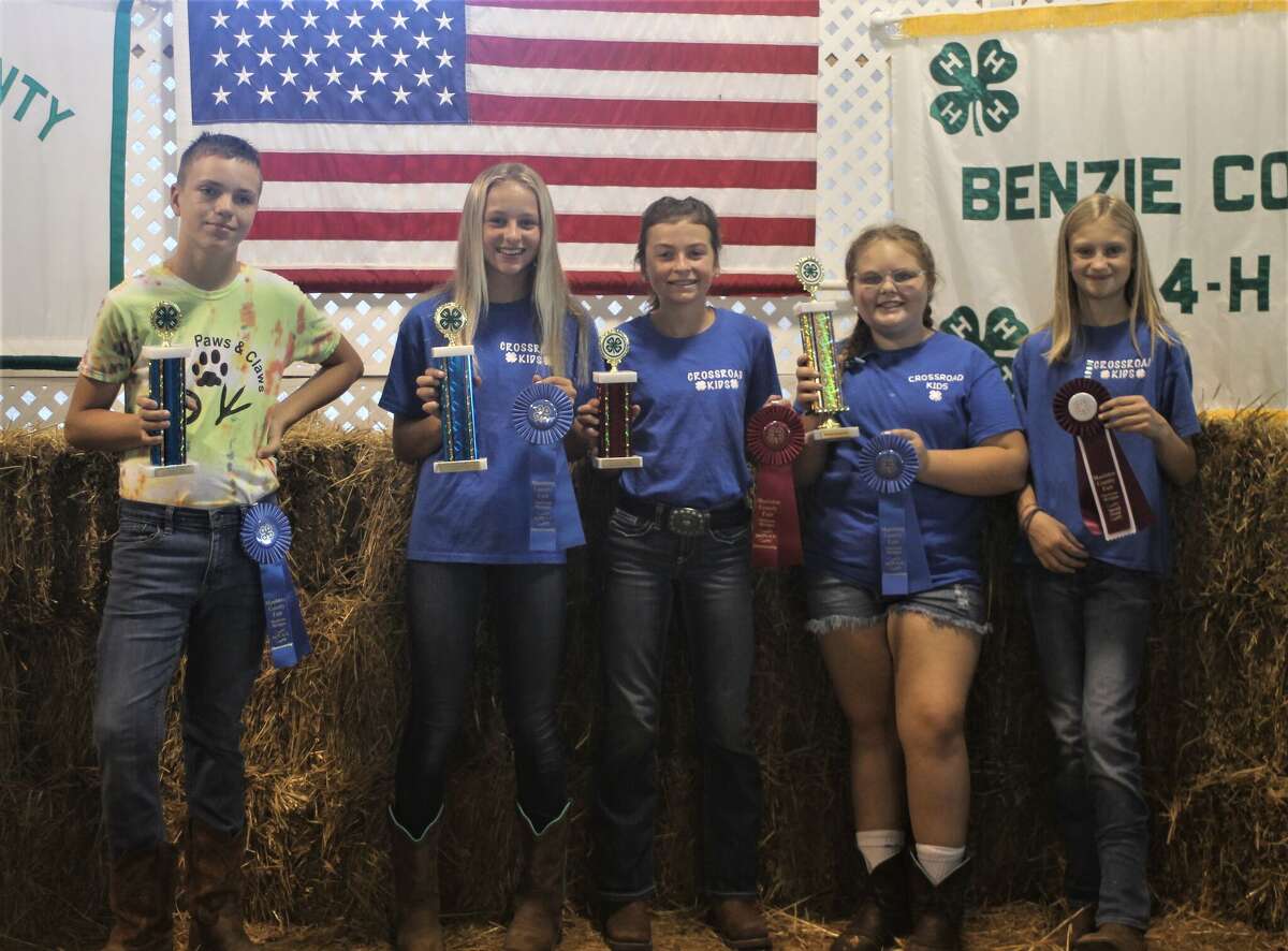 Who won 4-H awards at the Manistee County Fair?