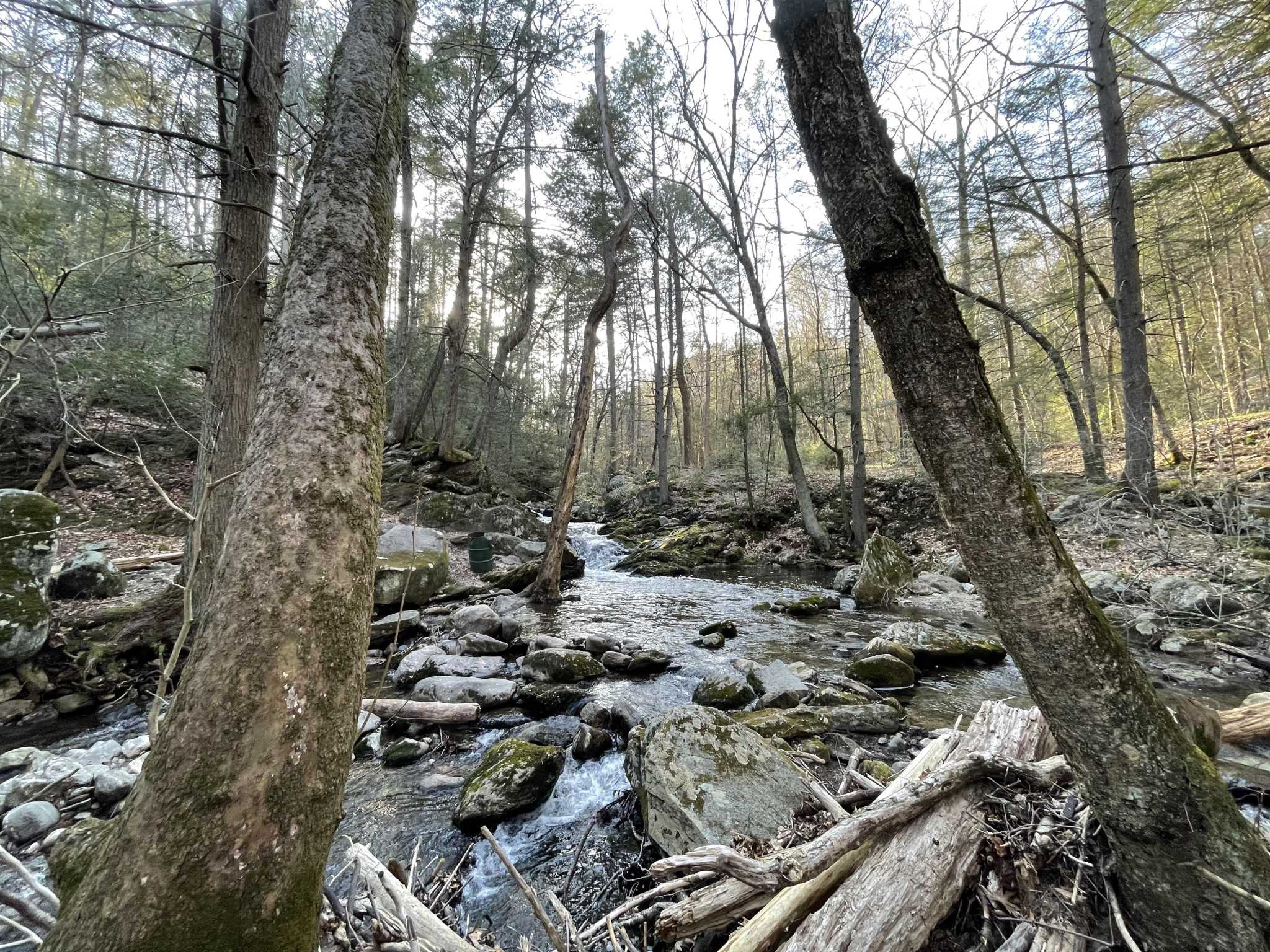 Swimmers rescued from CT state forest reservoir, official says