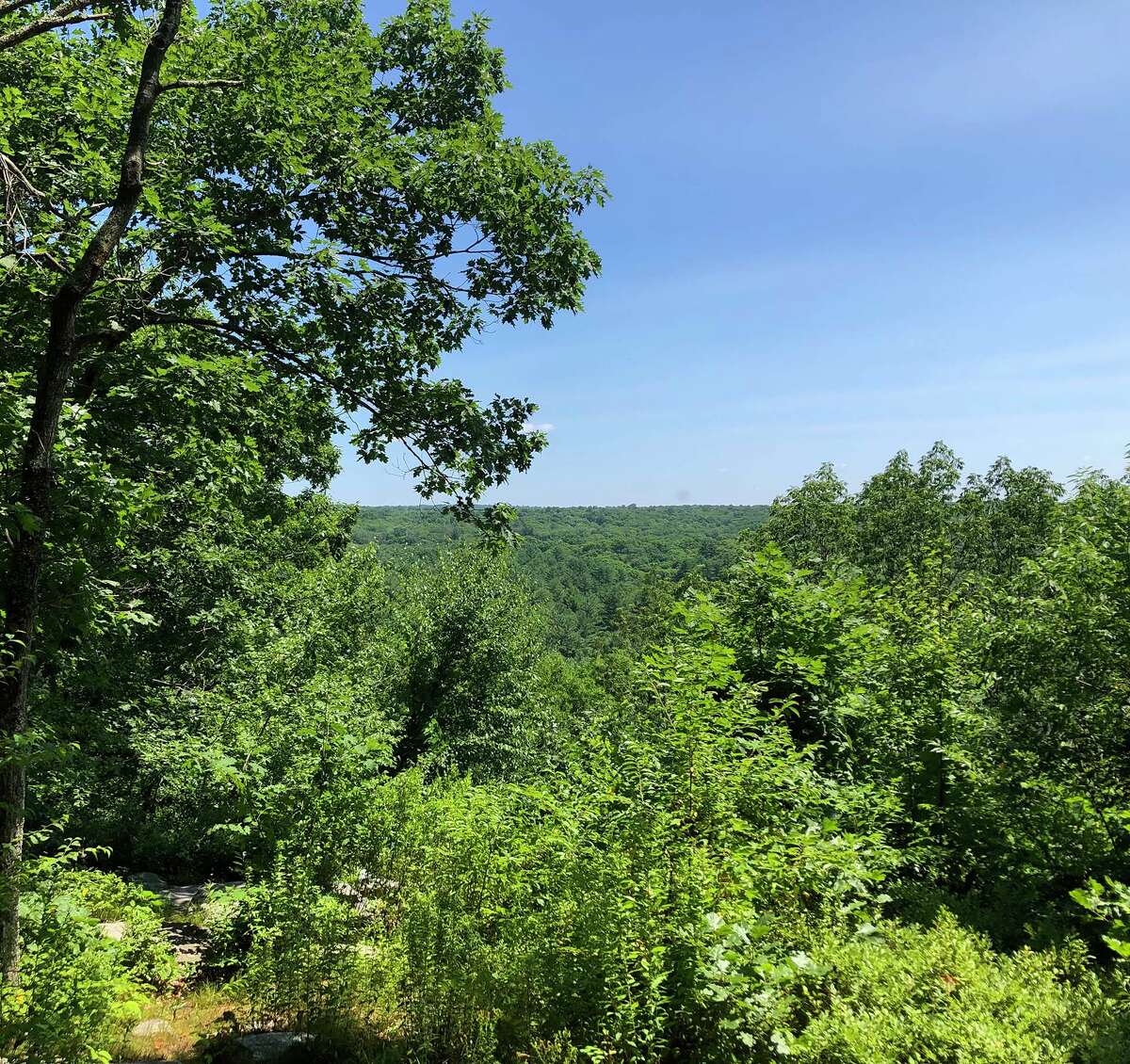 Scotland’s Rock Spring Preserve offers trails for all skill levels ...