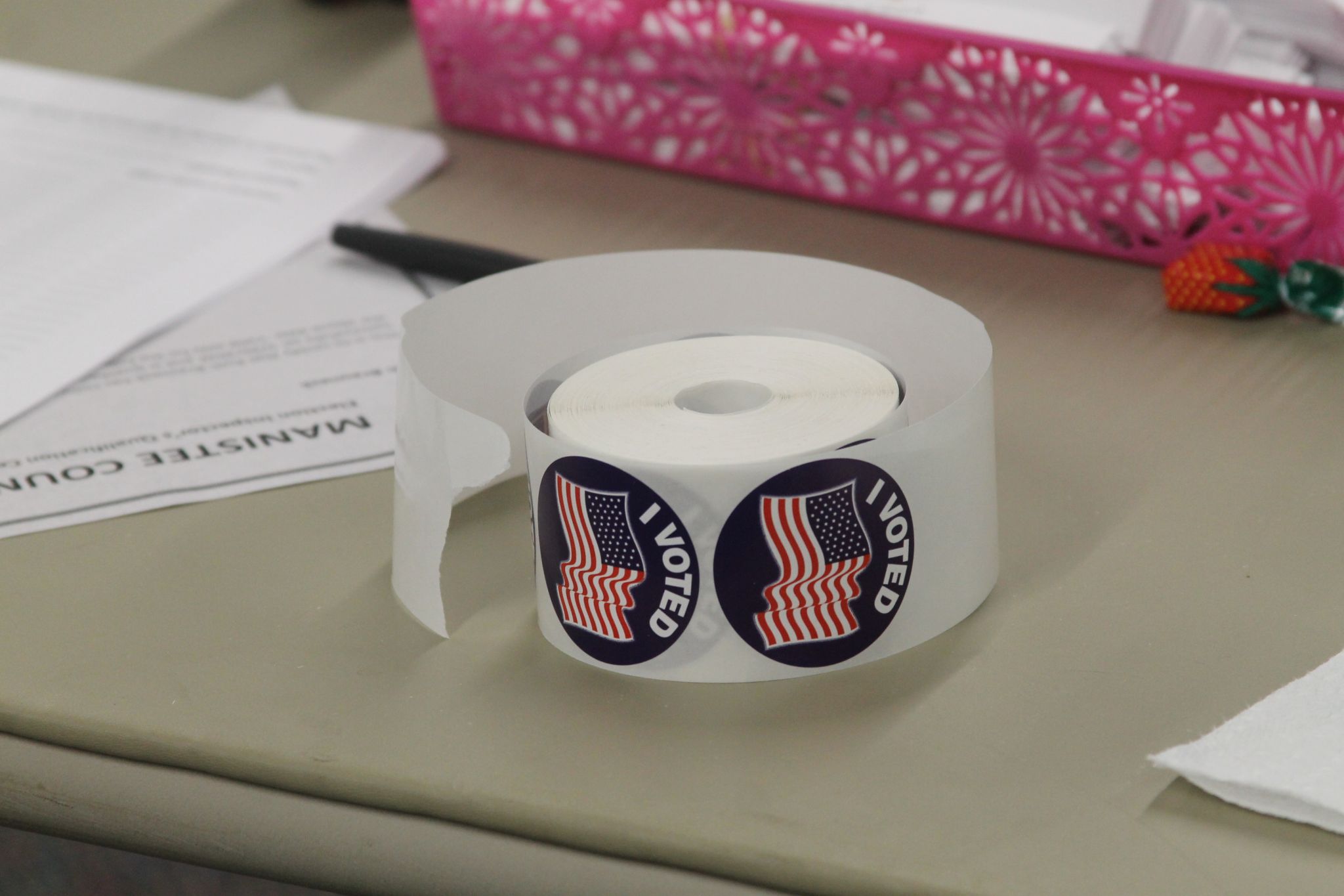 How to become a write-in candidate in Manistee County