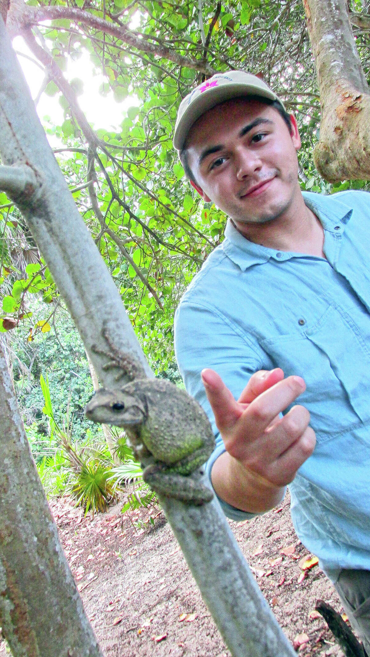 Deep dive: Illinois College students join rare sea turtle research ...