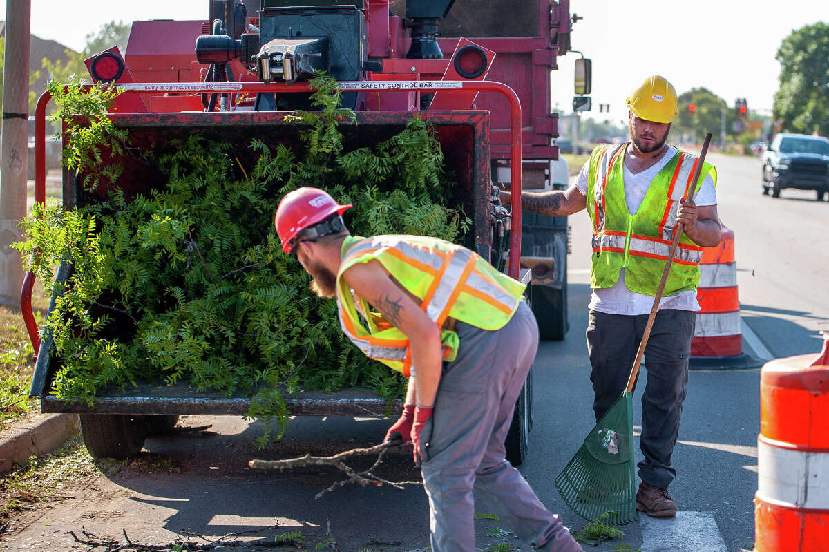 PHOTOS: Tree trimming on Saginaw
