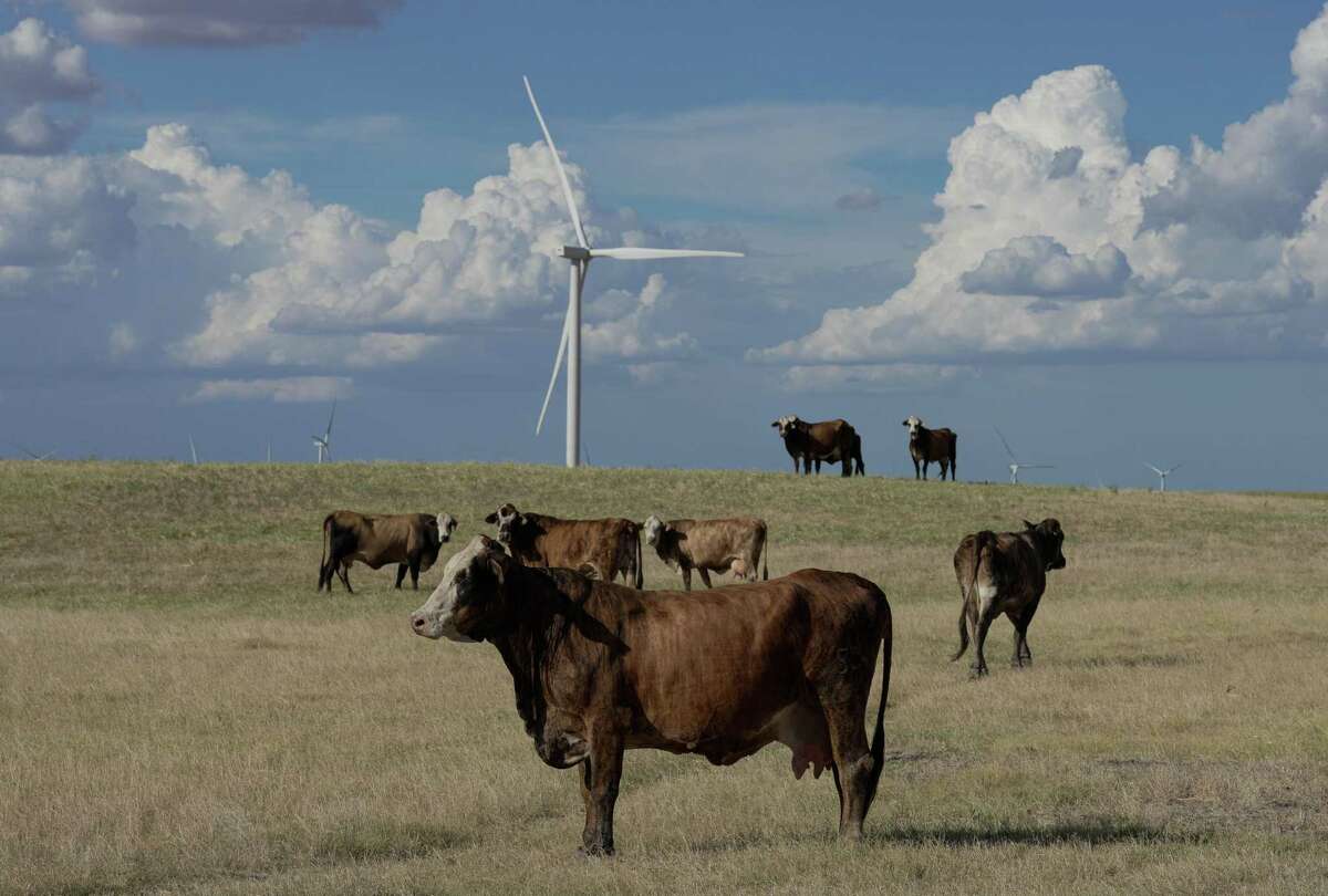 In Central Texas, wind power blows away political stereotypes