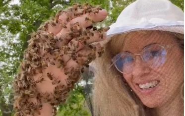 Texas beekeeper goes viral on TikTok for bee removal videos