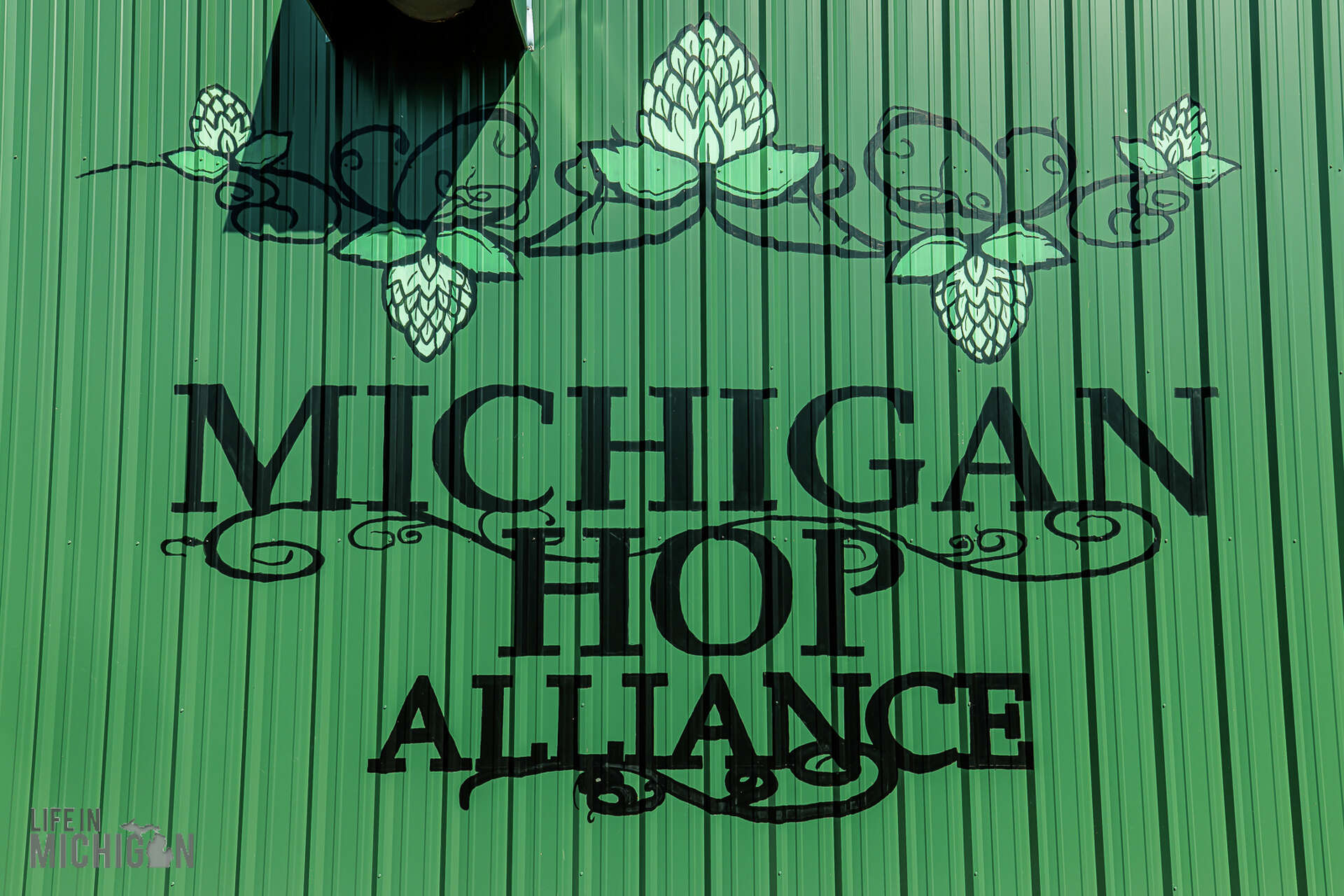 Hop Alliance established itself as a key hop farmer and brokerage