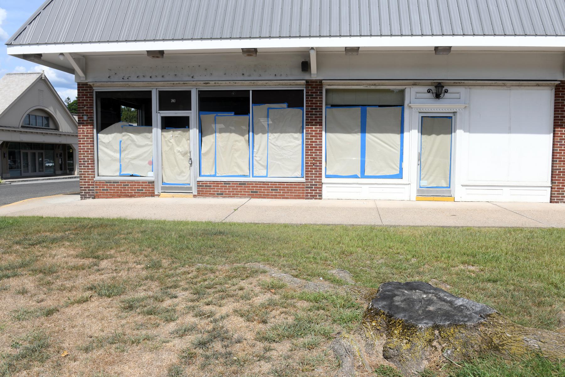 Conservation Commission aims for ‘A Thousand Trees for Trumbull’