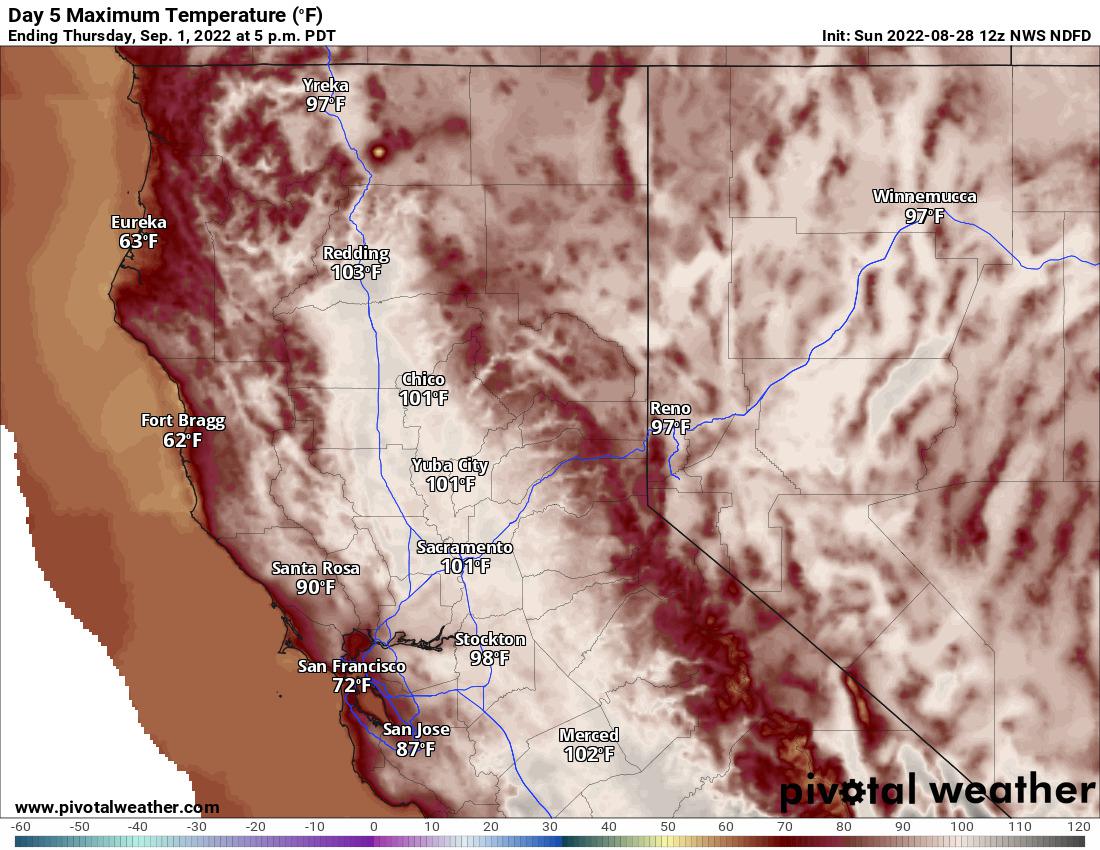 Bay Area forecast: Heat wave is on tap. How hot will weather get?
