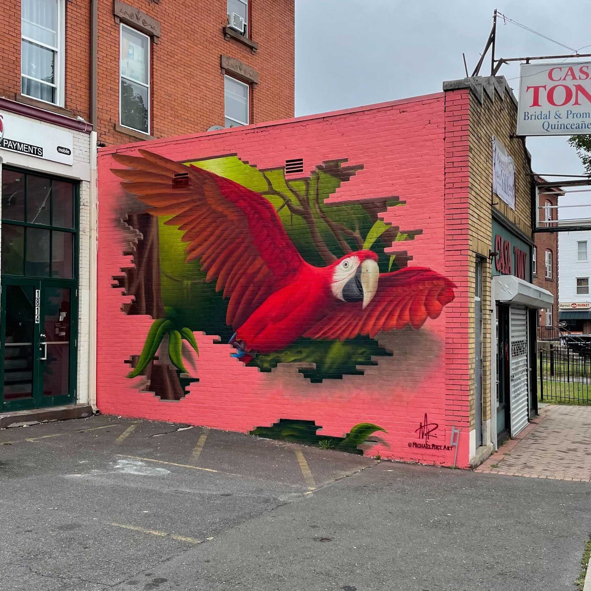 Hartford's Parkville lights up with new mural project