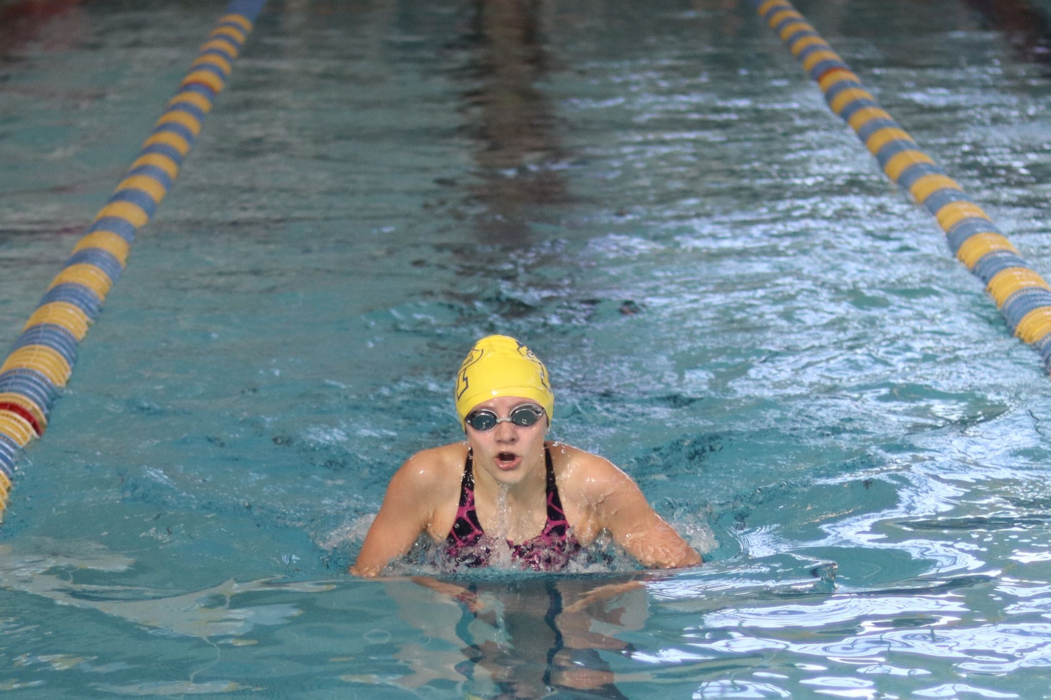 Manistee swimming to compete for conference title