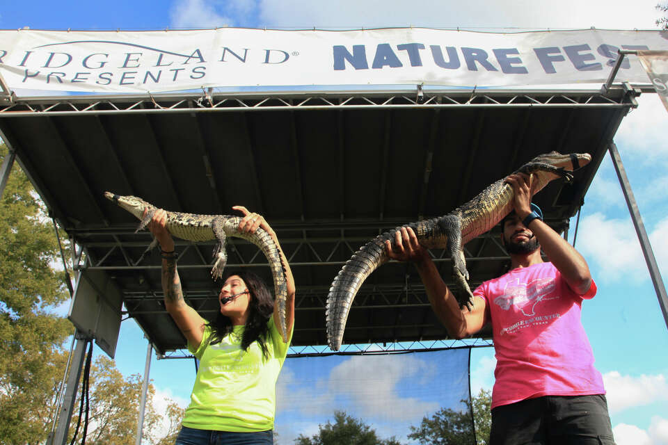 Our 8 must-try fall festivals in the Houston area