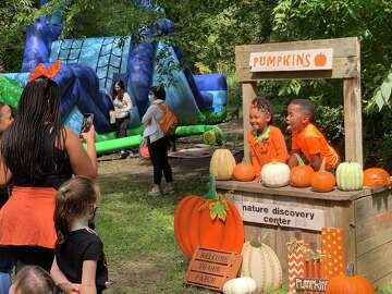 Texas festivals fall 2024: RenFest, Zoo Boo and Greek Fest