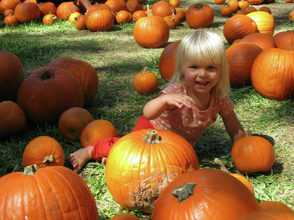 Our 8 must-try fall festivals in the Houston area