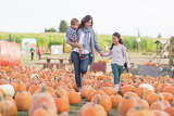 Our 8 must-try fall festivals in the Houston area
