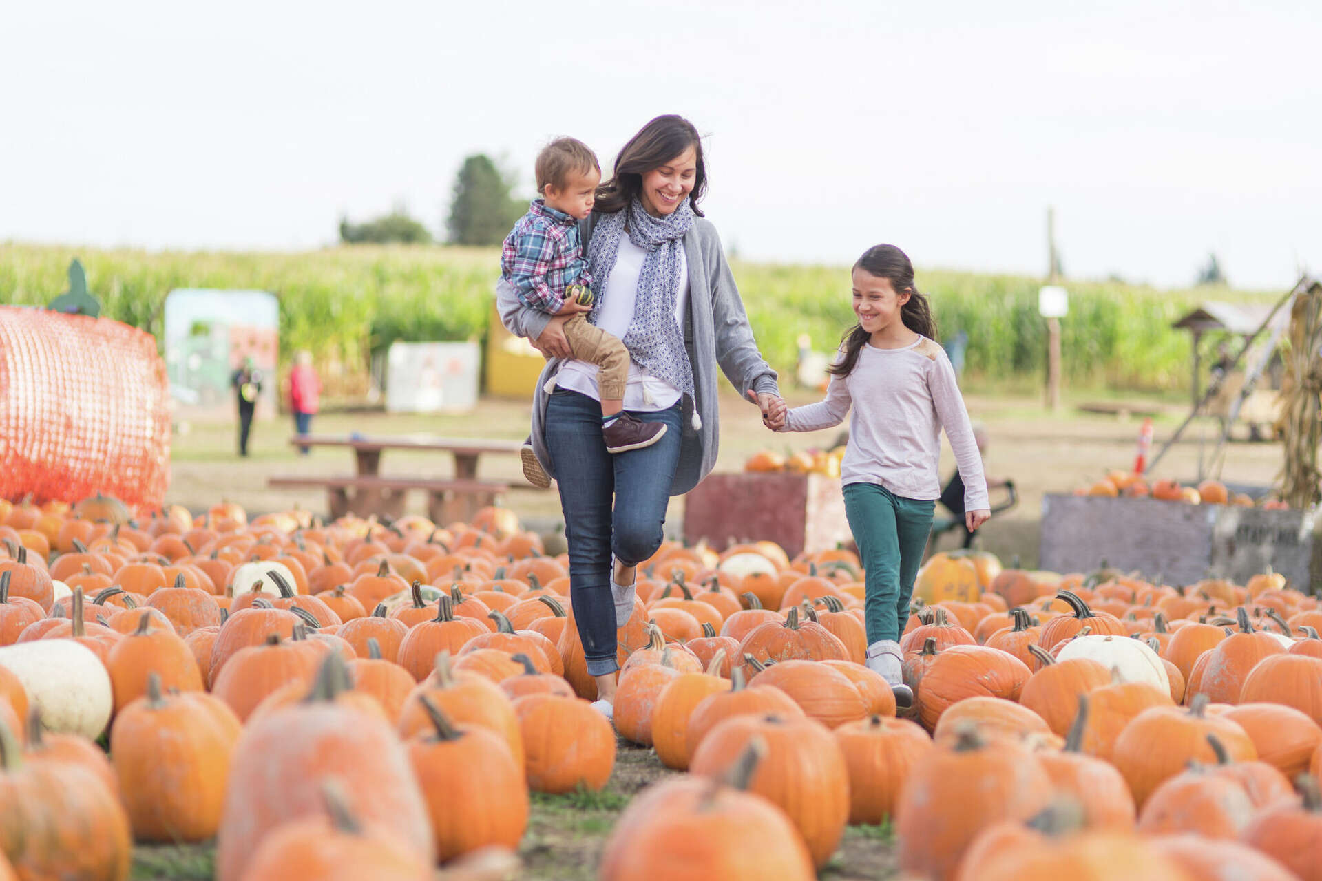 Our 8 must-try fall festivals in the Houston area