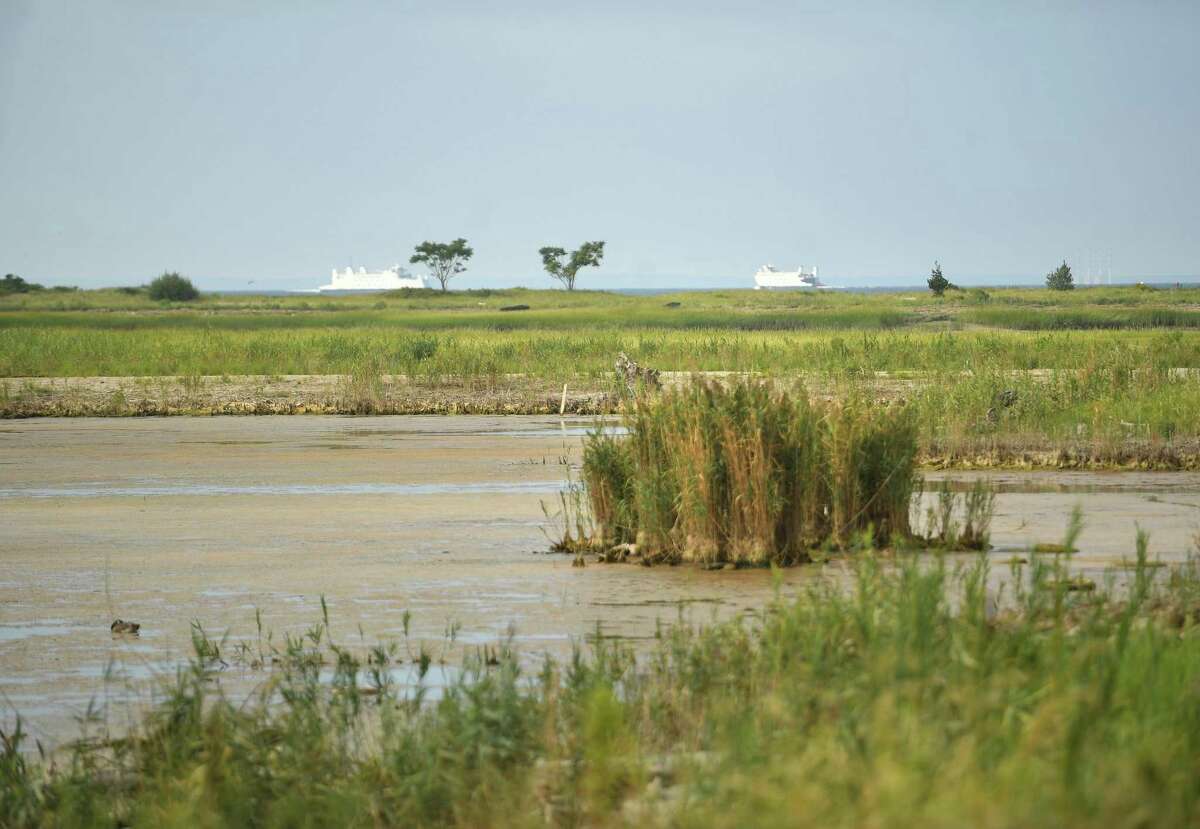 Stratford high school students restore Great Meadows Marsh in $4M project