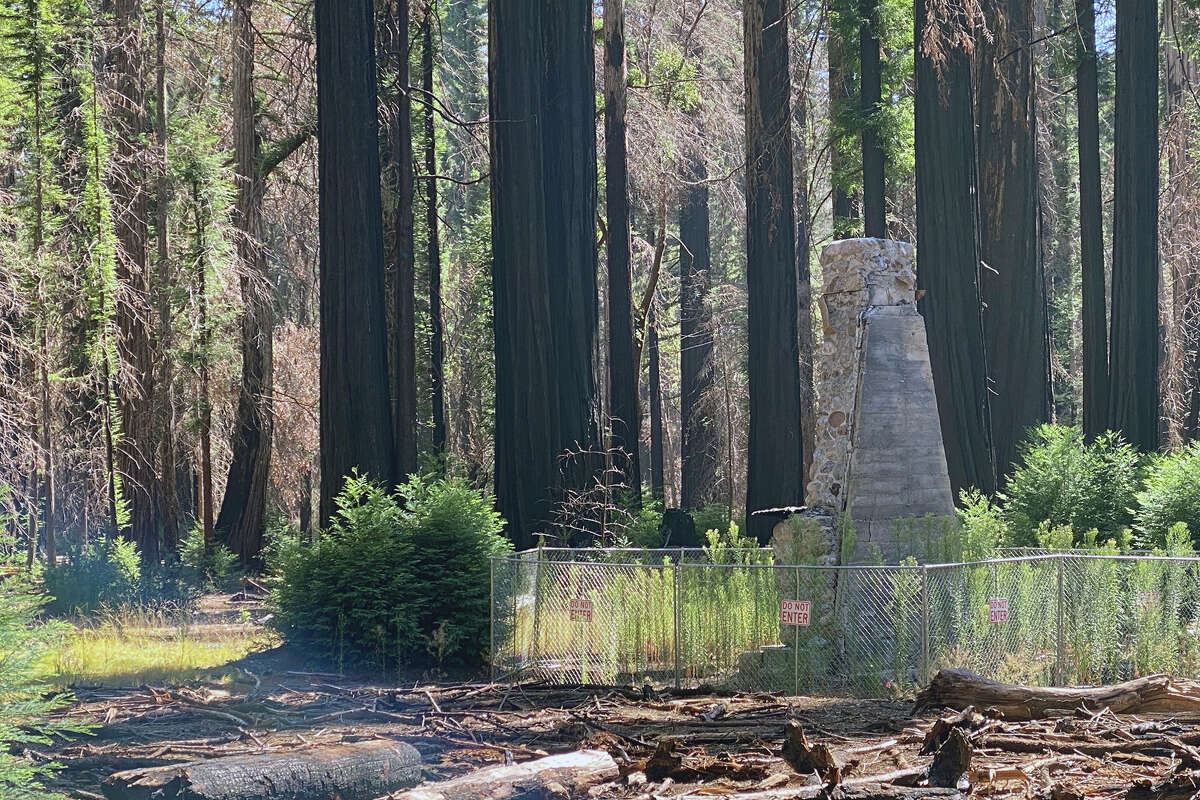 How to go to Big Basin Redwoods State Park on public transit