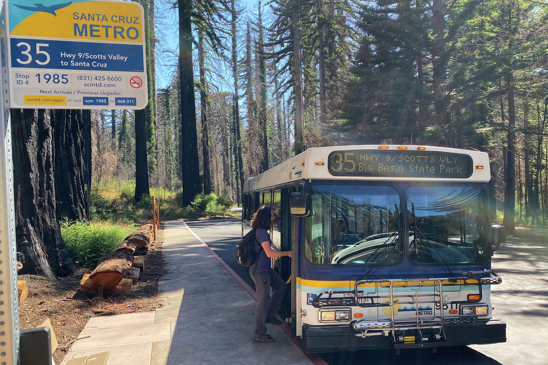 How to go to Big Basin Redwoods State Park on public transit
