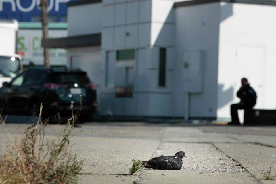 The latest S.F. housing failure: Thousands of units delayed for a study ...