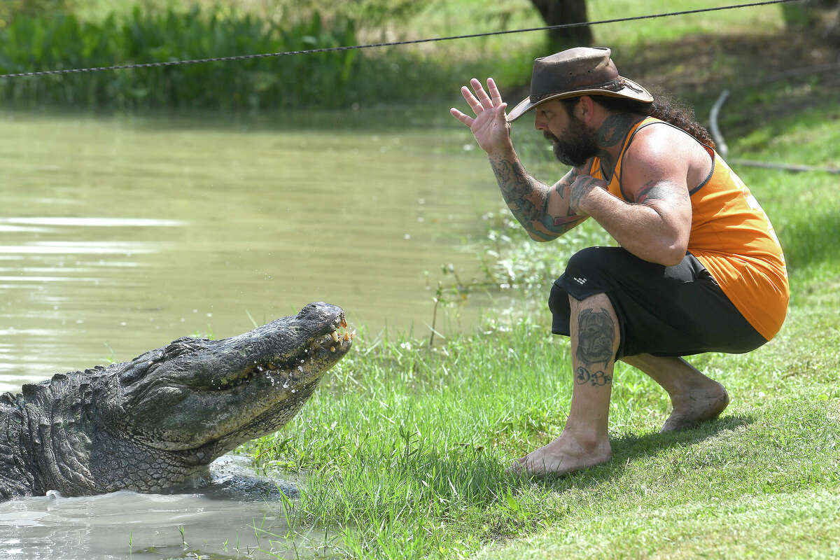 7 Questions With ... Gator Country's co-owner