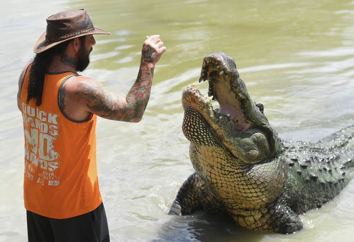 7 Questions With ... Gator Country's co-owner