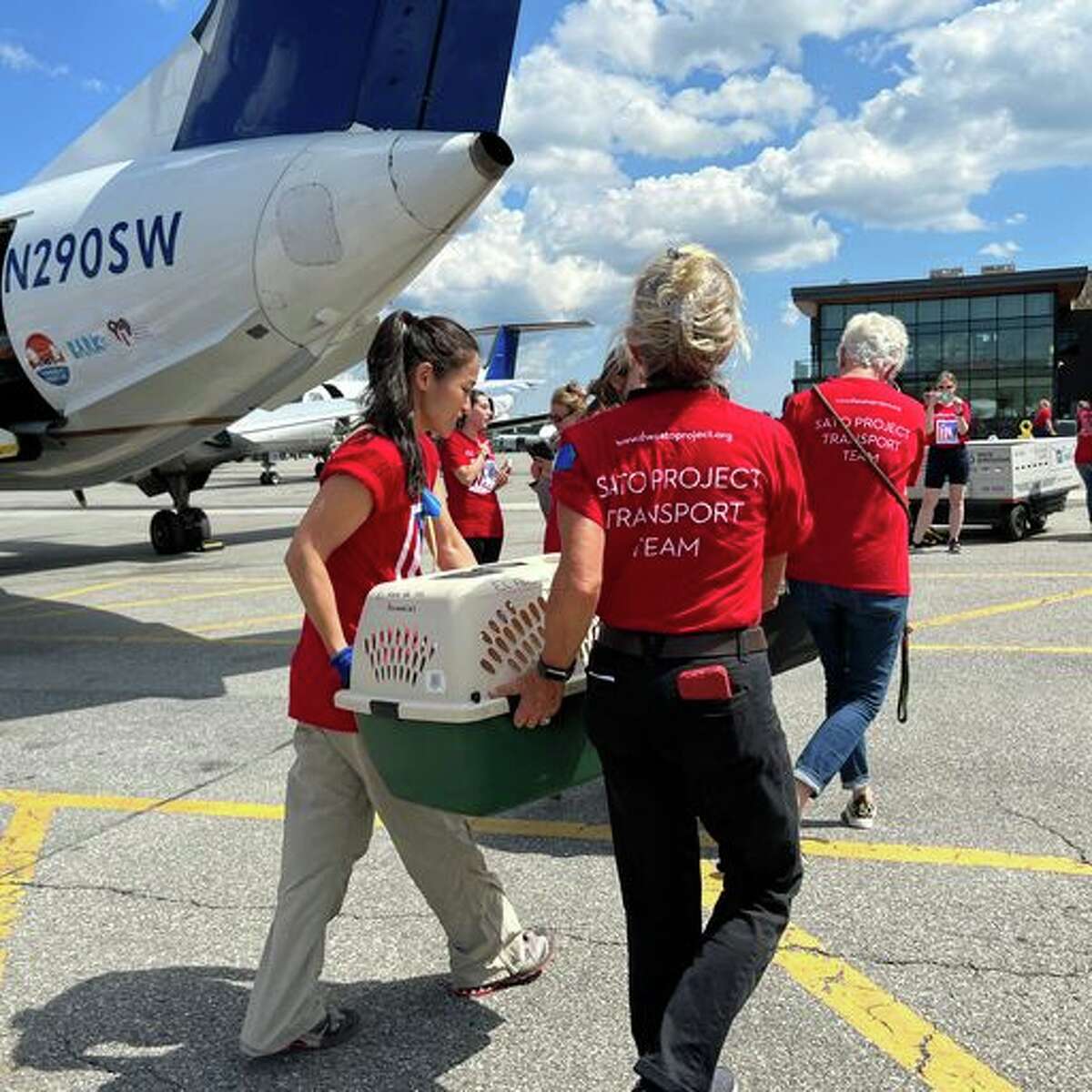 Love, Tito's Vodka Co. helps rescue over 300 animals from Puerto Rico