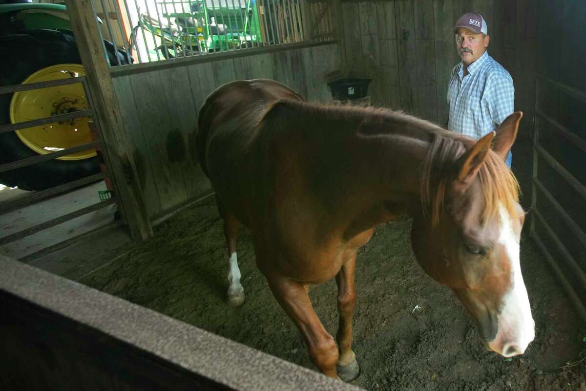 Houston-based Netflix hit 'Mo' shows an olive farm, but is it real?