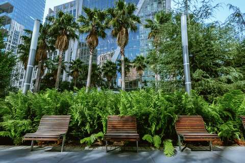 One of San Francisco’s most exotic landscapes is in a park that’s 70 ...