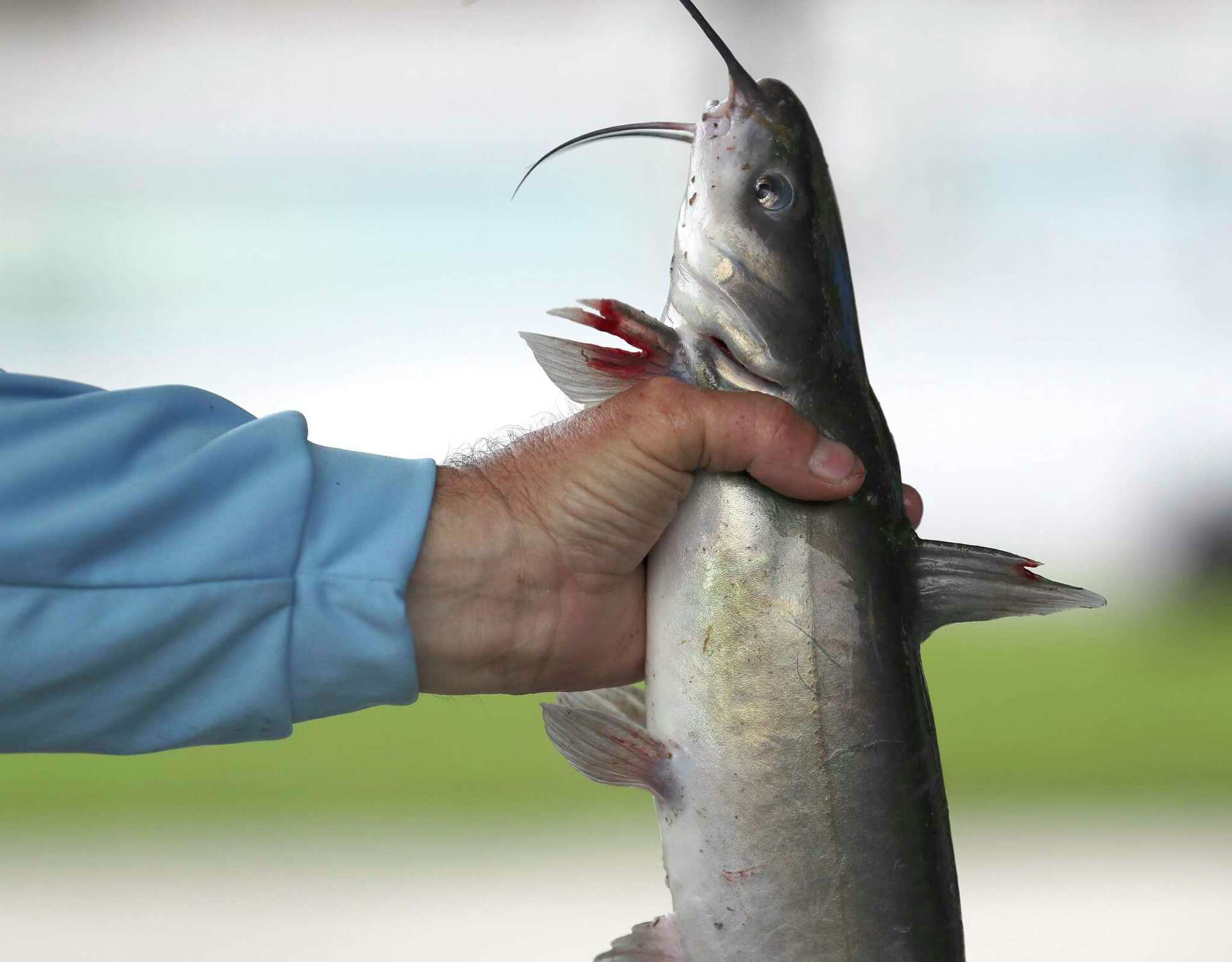 Guide to fishing on The Woodlands' 70 lakes and ponds this summer