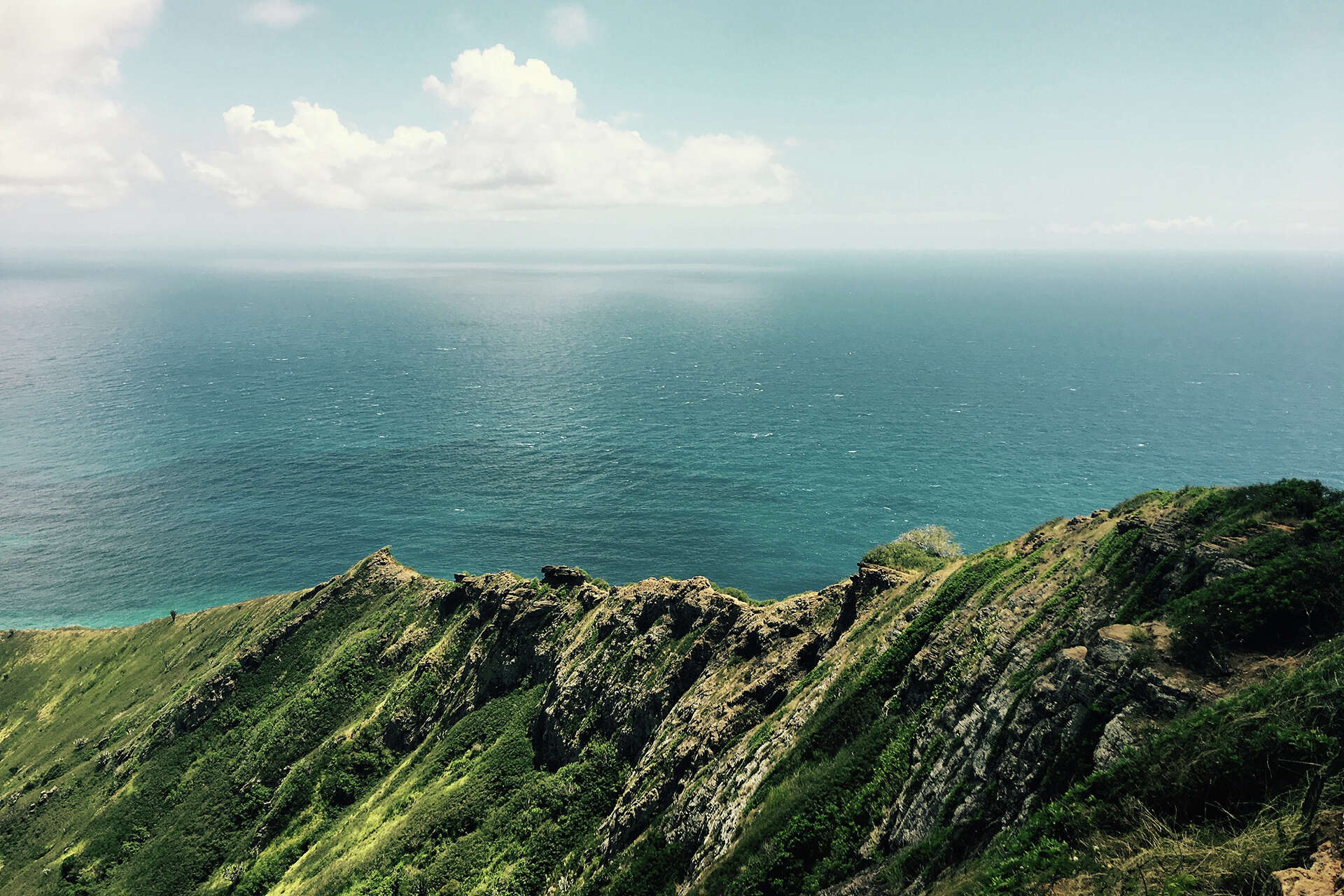 How Oahu’s most dangerous hike, the Koko Crater Stairs, was saved