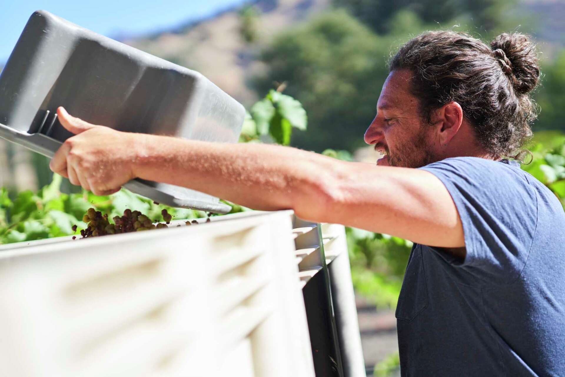 Napa’s Lola Wines is making straw wine, bringing back an ancient process
