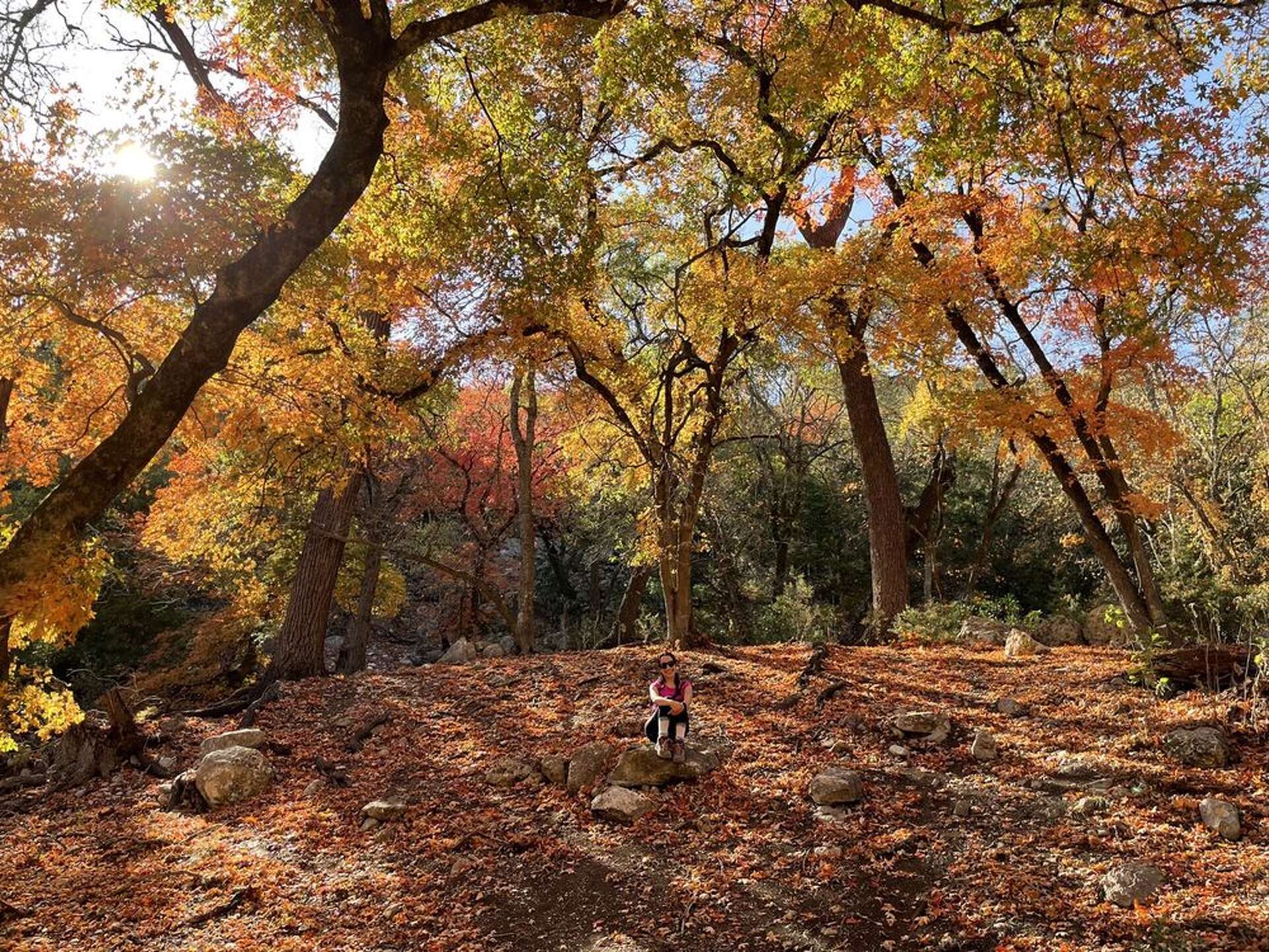3 Texas parks ranked as 'hidden gems' for fall foliage