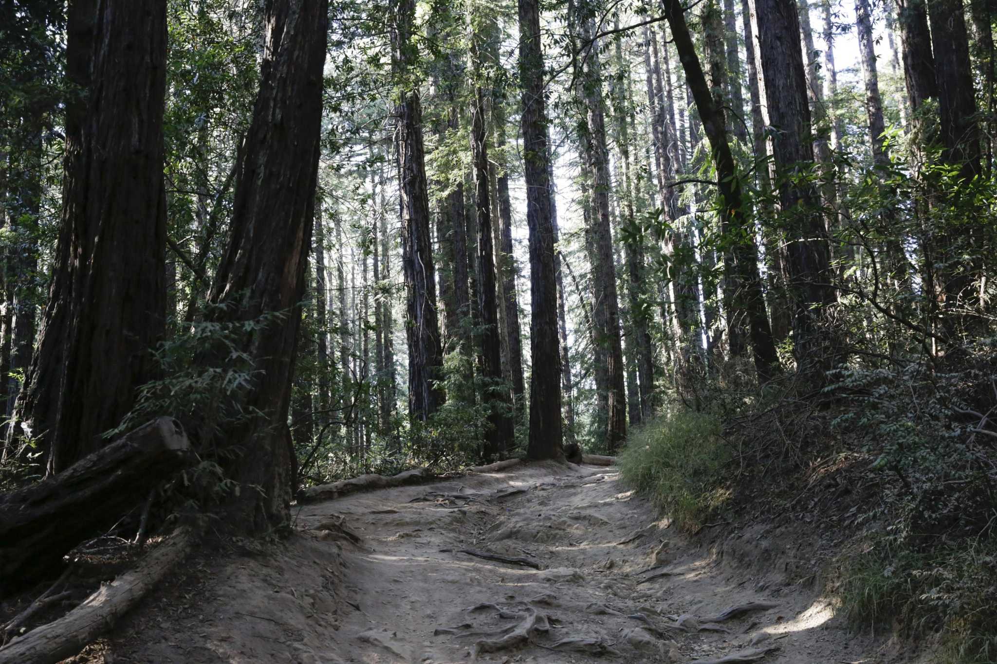2 Bay Area Indigenous groups given California land stewardship grants