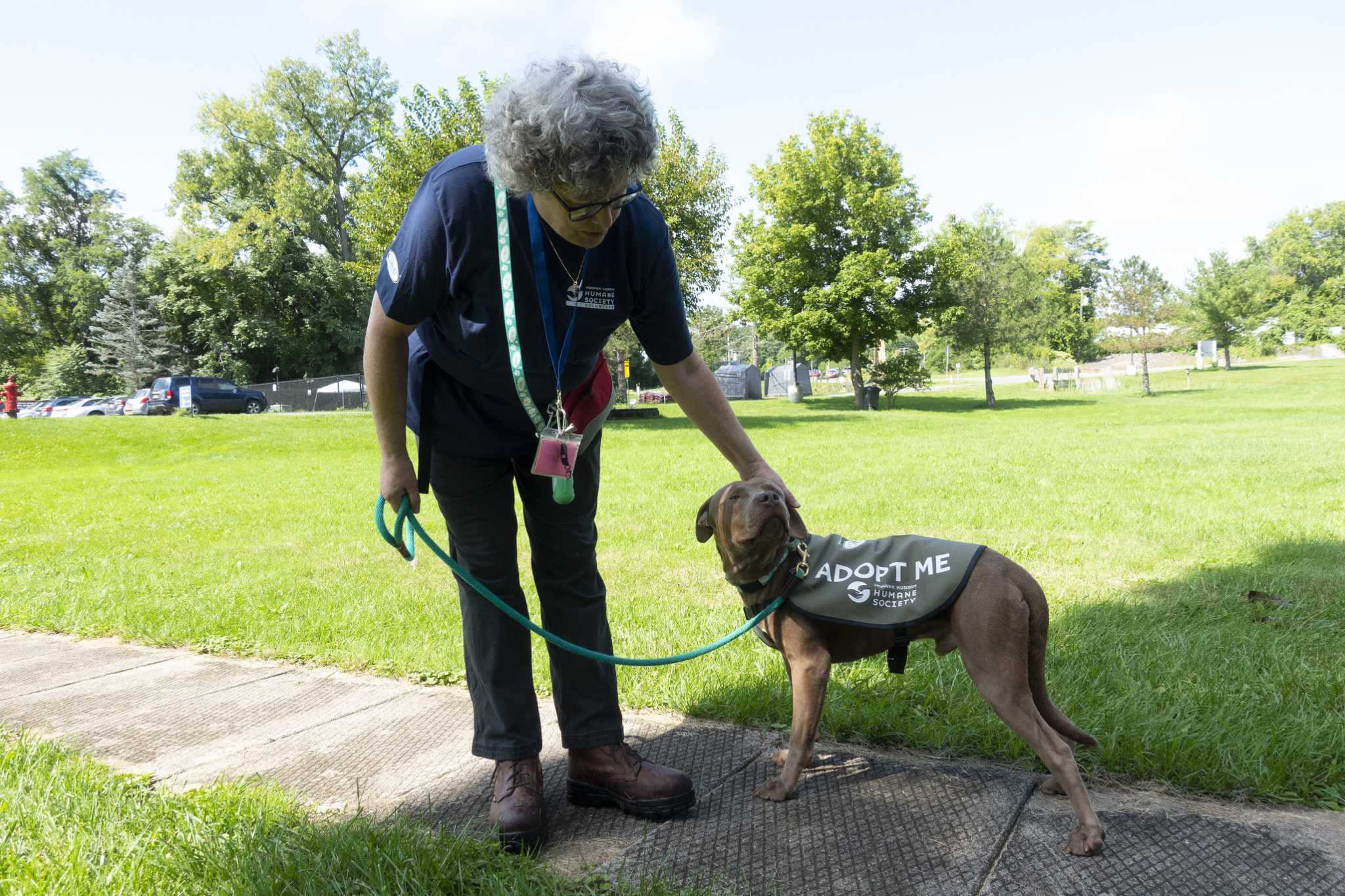 Paul Buckowski photos