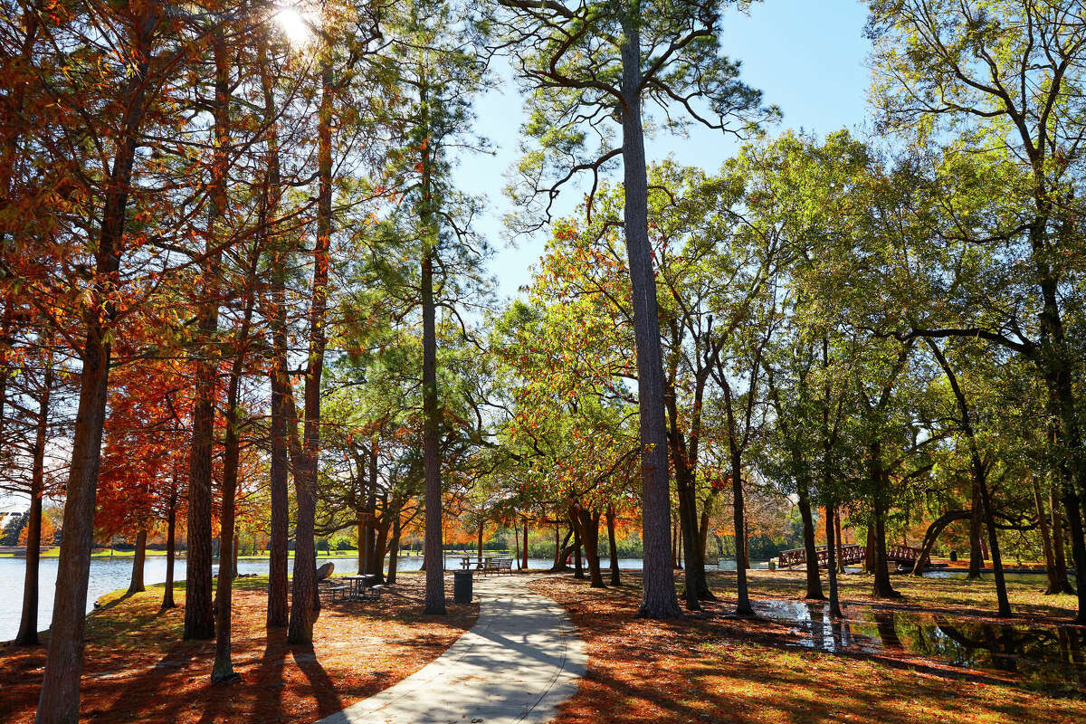 50 of the best things to do in Houston