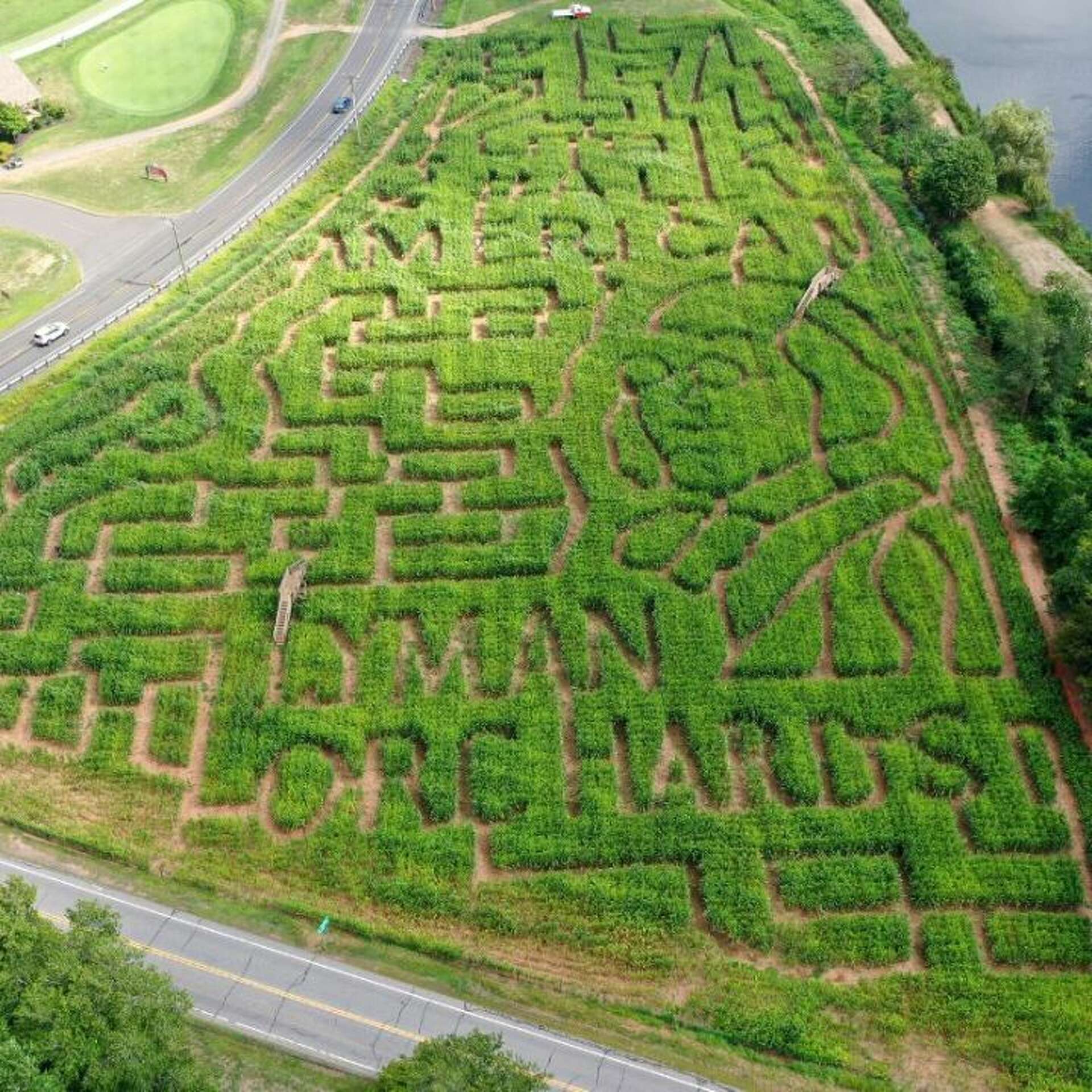 CT orchard named one of the best apple picking farms in the U.S.