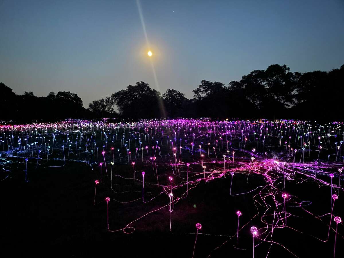 Field of Light at Lady Bird Johnson Wildflower Center to close