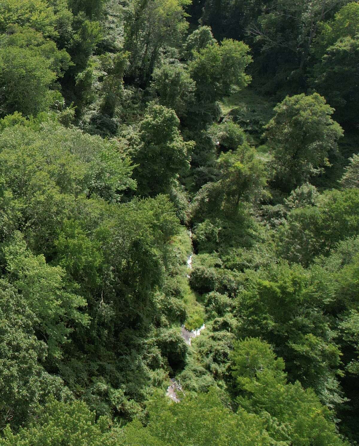 Greenwich ‘lags behind’ its neighbors on protecting open space, says ...